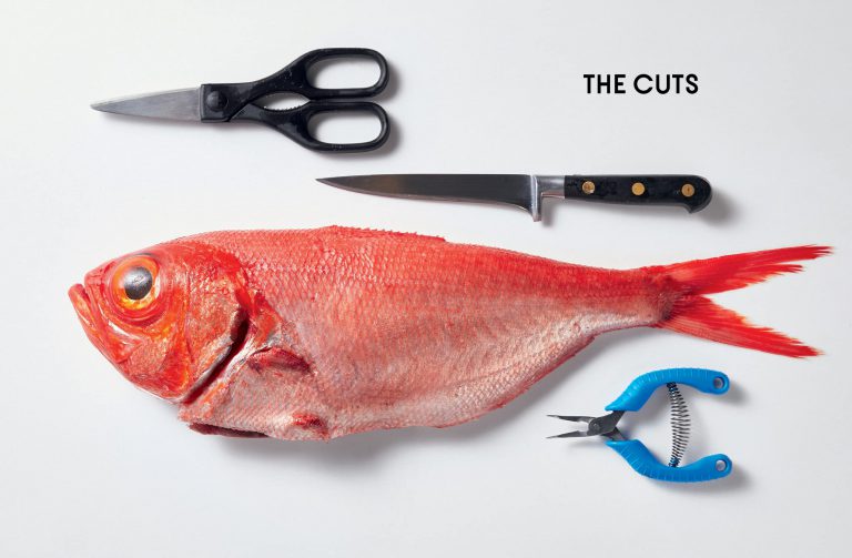 Fish Butchery: Mastering The Catch, Cut And Craft - FLYING KIWI